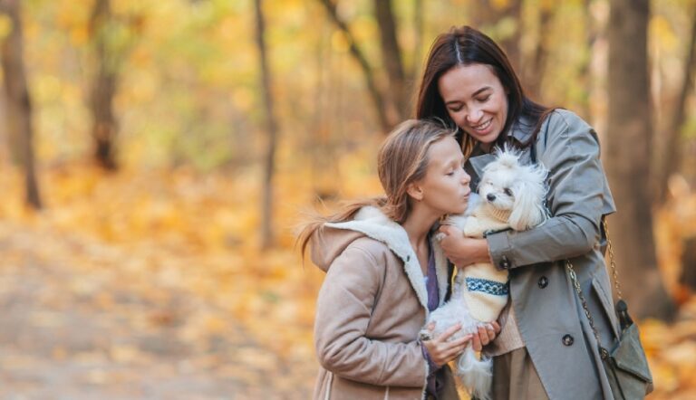 What is a guaranteed insurability option? : Respect Mortgages